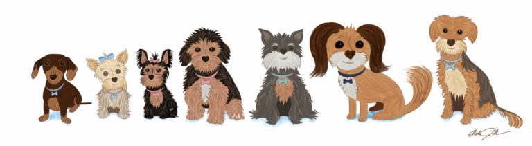 Meet the Papa and Paws Family - PapaandPaws.com