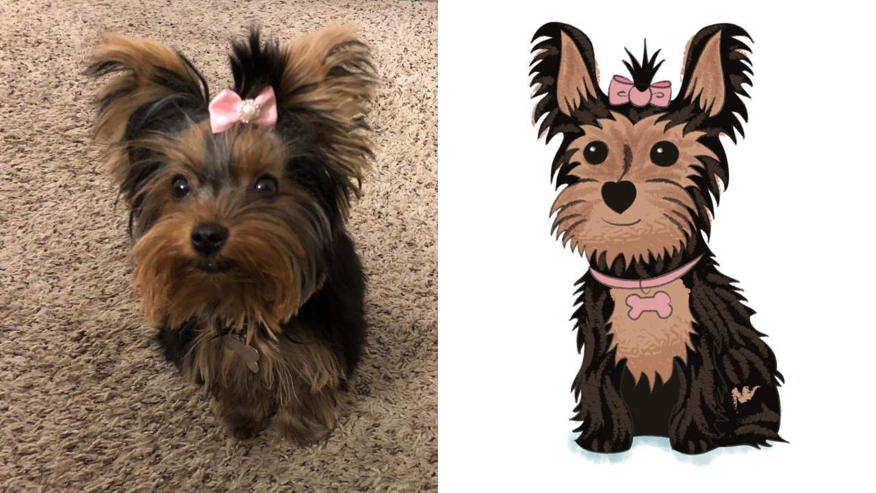 Meet the Papa and Paws Family - PapaandPaws.com
